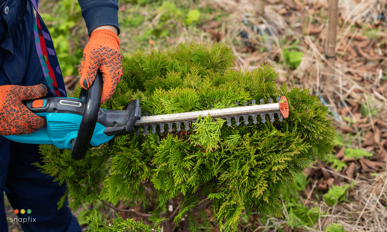 What is Ground Maintenance? | Snapfix CMMS